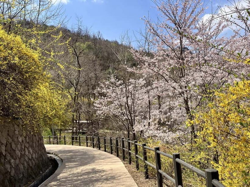 Seoul: Hiking Ansan Jarak-gil Trail & Makgeolli Experience - Final Thoughts: A Balanced, Authentic Day Out in Seoul