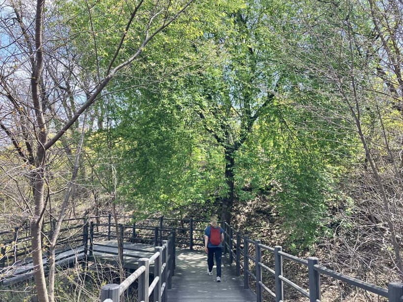 Seoul: Hiking Ansan Jarak-gil Trail & Makgeolli Experience - FAQ