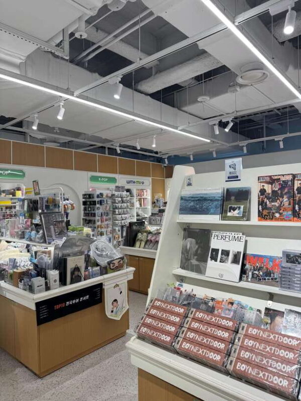 Seoul: Hongdae, KPOP, Webtoon&Game, Theme Cafe Walking Tour - Who Is This Tour Best For?