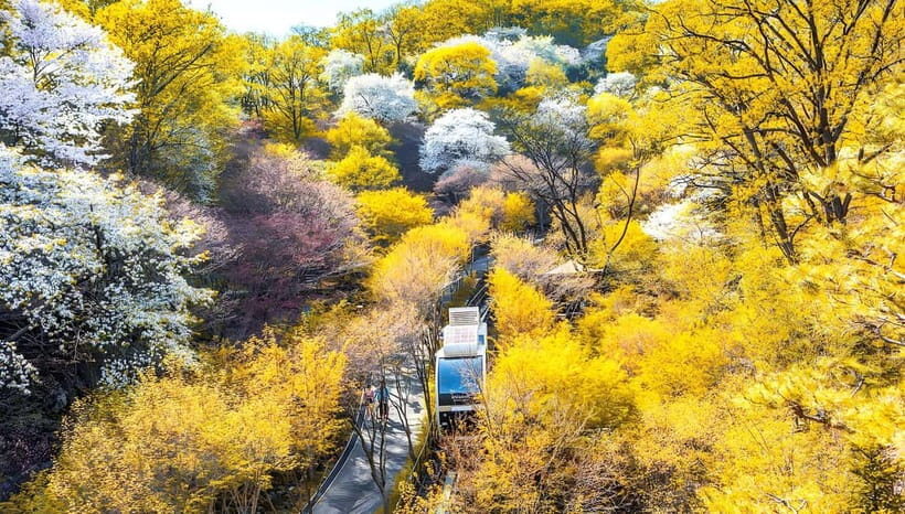 Seoul: Hwadam Forest & Namhansanseong & Korean Folk Village - An Overview of the Tour Experience