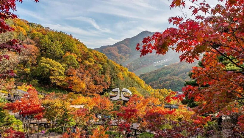 Seoul: Hwadam Forest & Namhansanseong & Korean Folk Village - Exploring Hwadam Forest: Nature’s Art Gallery