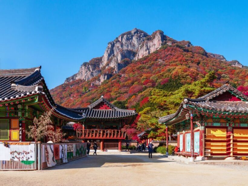 Seoul: Hwadamsup & Luge & Korea Folk Village One Day Tour - Stepping Back in Time at Korea Folk Village