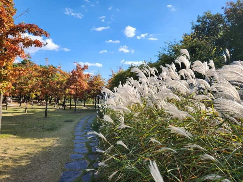 Seoul: Jangtaesan Recreational Forest Autumn Foliage Tour - Who Will Love This Tour?