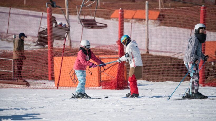 Seoul: Jisan Forest Winter Ski Day Tour with Basic Lesson - Introduction: Is the Jisan Forest Winter Ski Tour Right for You?