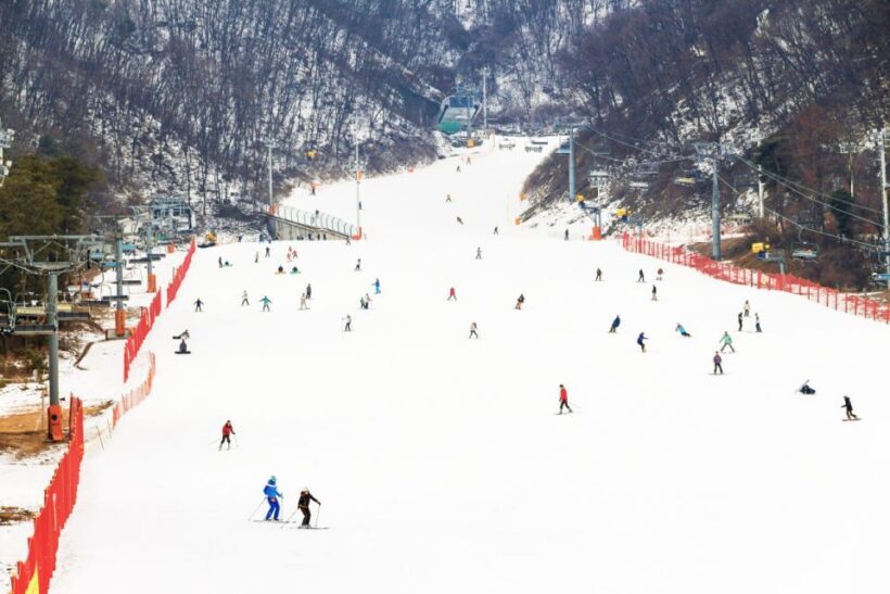 Seoul: Jisan Forest Winter Ski Day Tour with Basic Lesson - A Detailed Look at the Itinerary