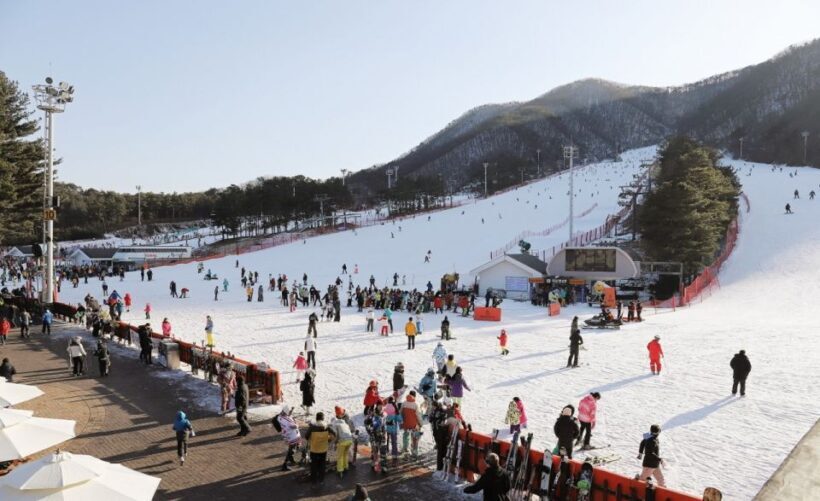 Seoul: Jisan Forest Winter Ski Day Tour with Basic Lesson - The Sum Up