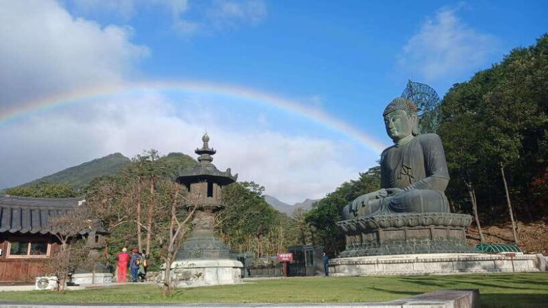 Seoul: Korea Spring Cherry Blossom Day Tour - Authentic Experiences and Authentic Value