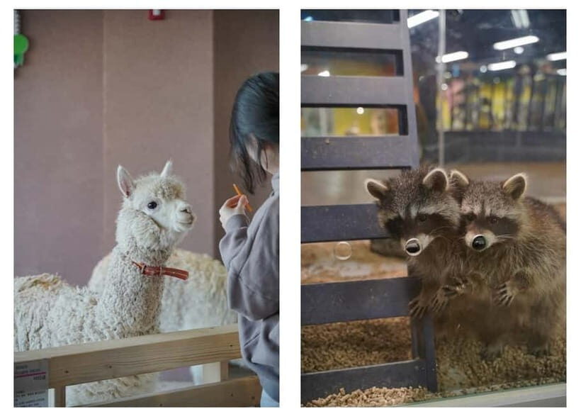 Seoul : Le Space Art Museum, Hanok, Inner Zoo (+Nanta Show) - Key Points