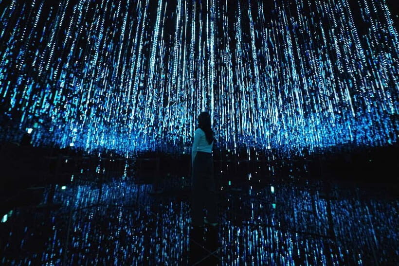 Seoul : Le Space Art Museum, Hanok, Inner Zoo (+Nanta Show) - Final Thoughts: Who is This Tour Best For?