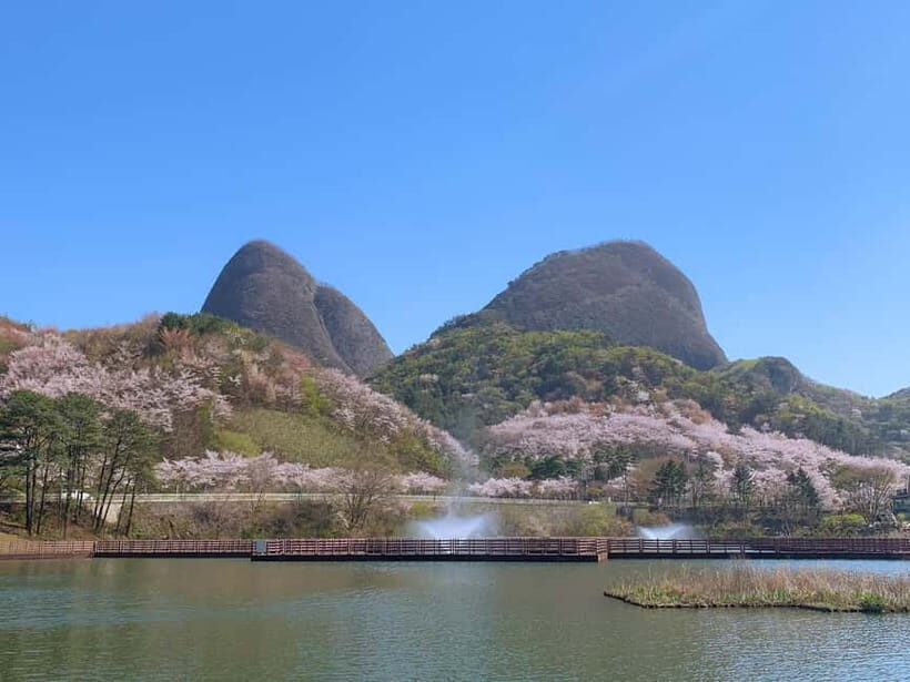 Seoul: Maisan Cherry Blossom and Jeonju Hanok Day Tour - Jeonju Hanok Village: A Step Back in Time