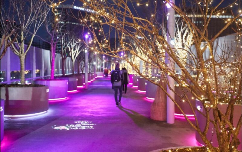 Seoul: Moonlight Rainbow Fountain Show Night Tour - The Value of the Experience