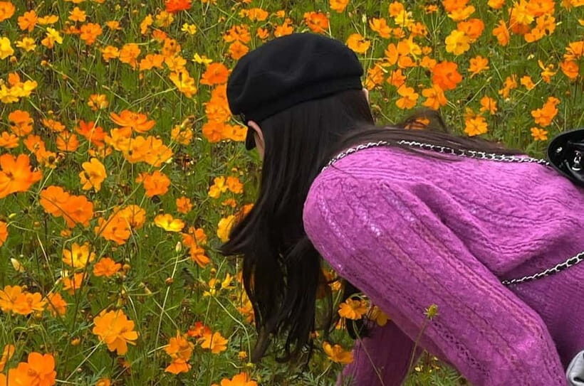 Seoul: Mt. Seorak & Autumn Flower Festival - Key Points