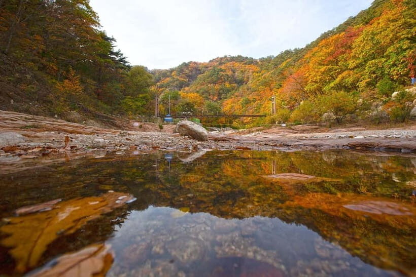 Seoul: Mt. Seorak & Autumn Flower Festival - Practical Details: What You Need to Know