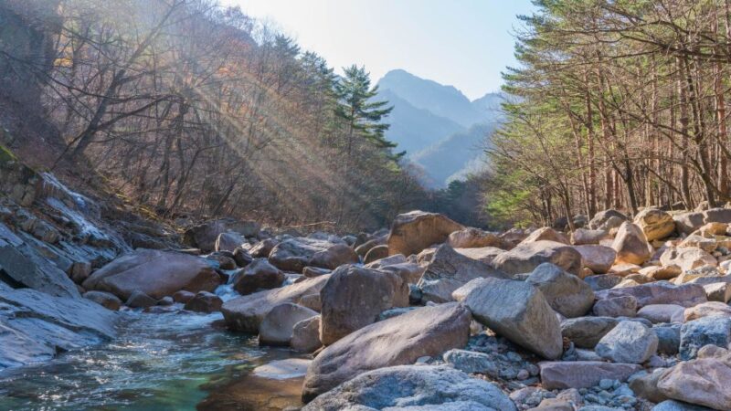 Seoul: Mt Seorak Hike with Naksansa Temple or Nami Island - Authentic Traveler Insights