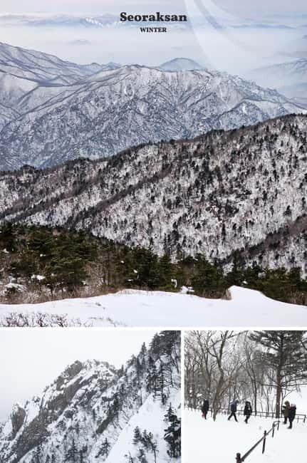 Seoul: Mt. Seorak & Nami Island & Eobi Ice Valley Day Tour - Exploring the Day Trip in Detail