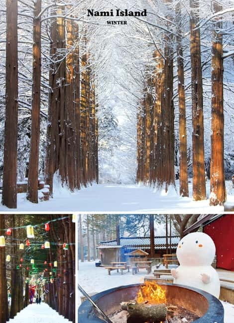Seoul: Mt. Seorak & Nami Island & Eobi Ice Valley Day Tour - Timing and Group Dynamics