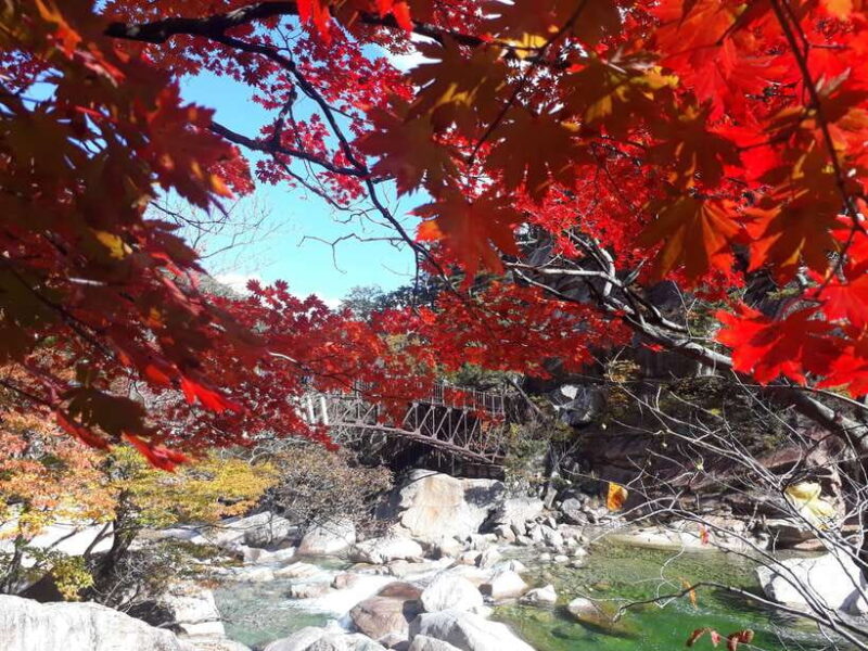 Seoul: Mt.Seorak, Nami Island & Korean Garden, No Shopping - Potential Drawbacks or Considerations