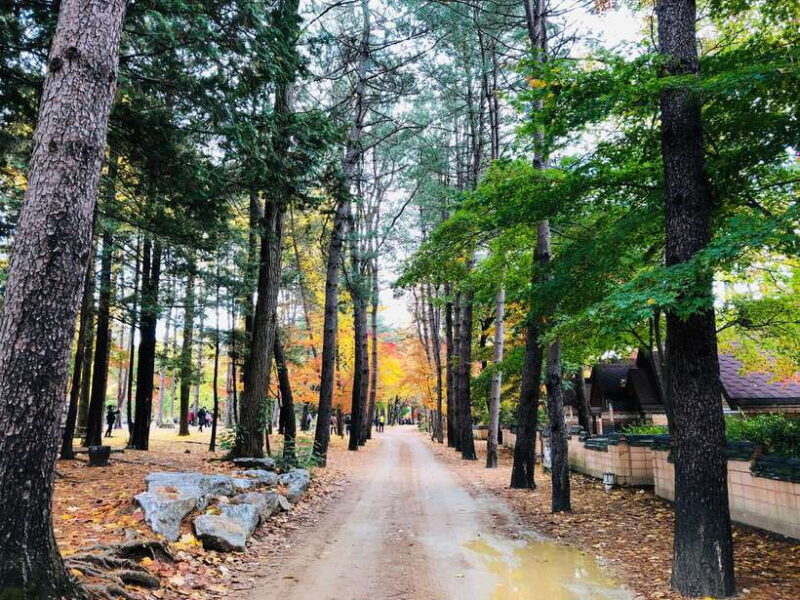 Seoul: Mt.Seorak, Nami Island & Korean Garden, No Shopping - Who Should Consider This Tour?