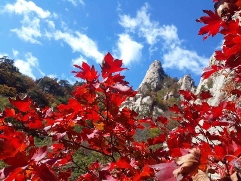 Seoul: Mt.Seorak, Nami Island, No Shopping(+RailBike Option) - Visiting Seoraksan: Korea’s Natural Crown Jewel