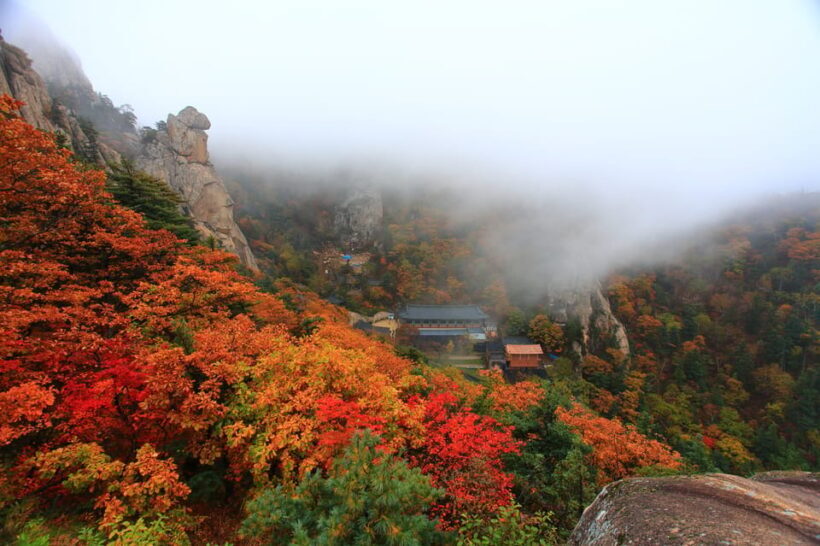 Seoul: Mt. Seoraksan National Park Autumn Foliage Day Tour - The Sum Up: Who Should Consider This Tour?