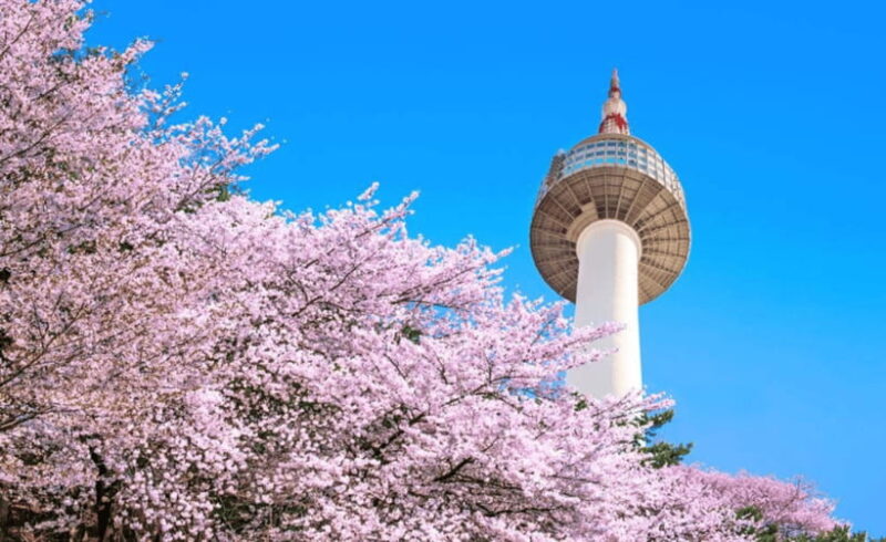 Seoul: N Seoul Tower Observatory Ticket - How the Experience Unfolds
