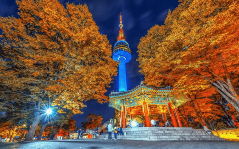 Seoul: N Seoul Tower Observatory Ticket - Transportation and Accessibility