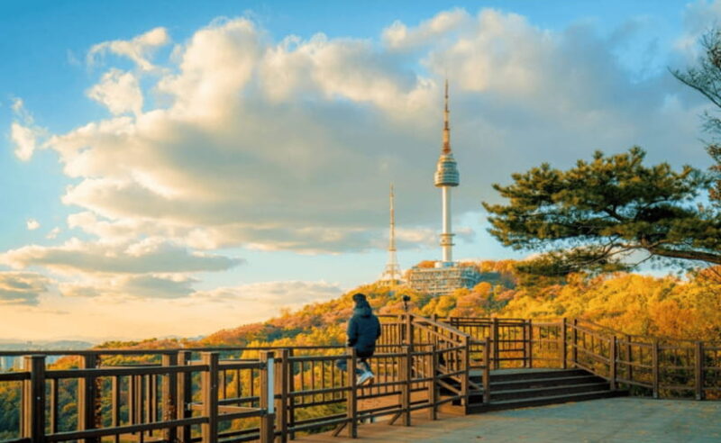 Seoul: N Seoul Tower Observatory Ticket - Dining and Cultural Activities