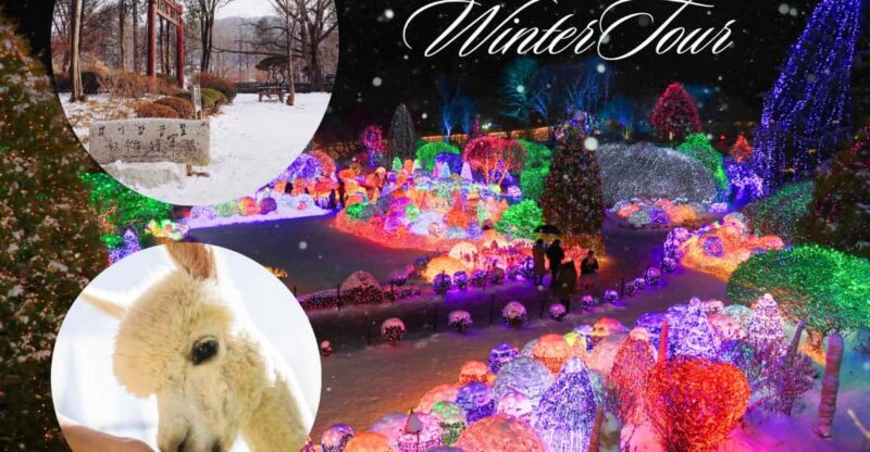 Seoul: Nami and K-Garden with Optional Alpaca Winter Tour - Key Points