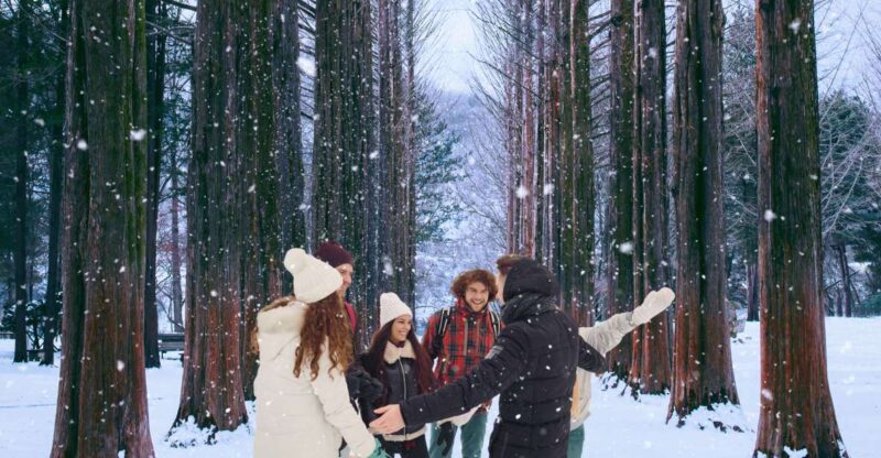 Seoul: Nami and Petite France Tour with Optional K-Garden - How the Tour Works: Practical Details and Considerations