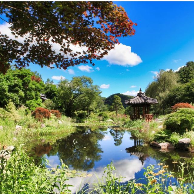 Seoul: Nami and Petite France Tour with Optional K-Garden - Final Thoughts: Is This Tour Right for You?