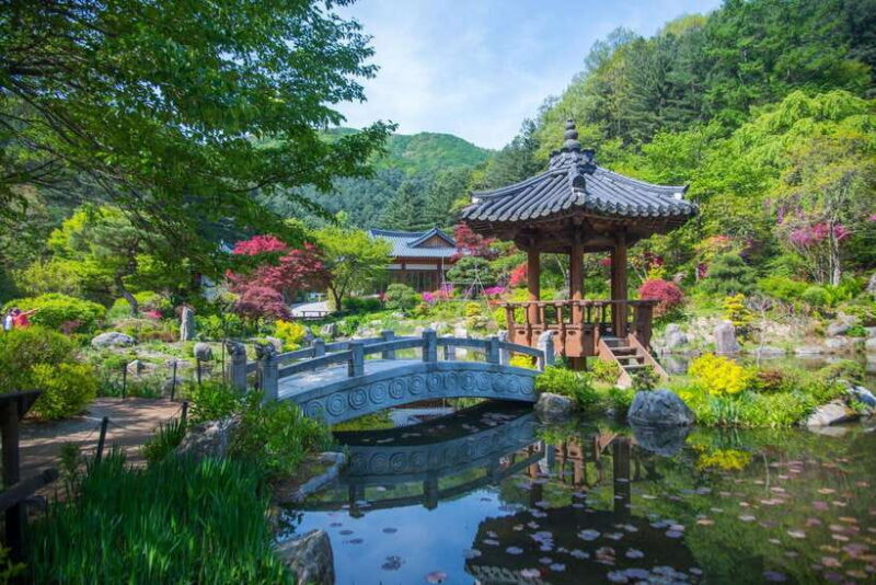 Seoul: Nami Island, Alpaca World, Morning Calm Garden - Who Will Love This Tour?