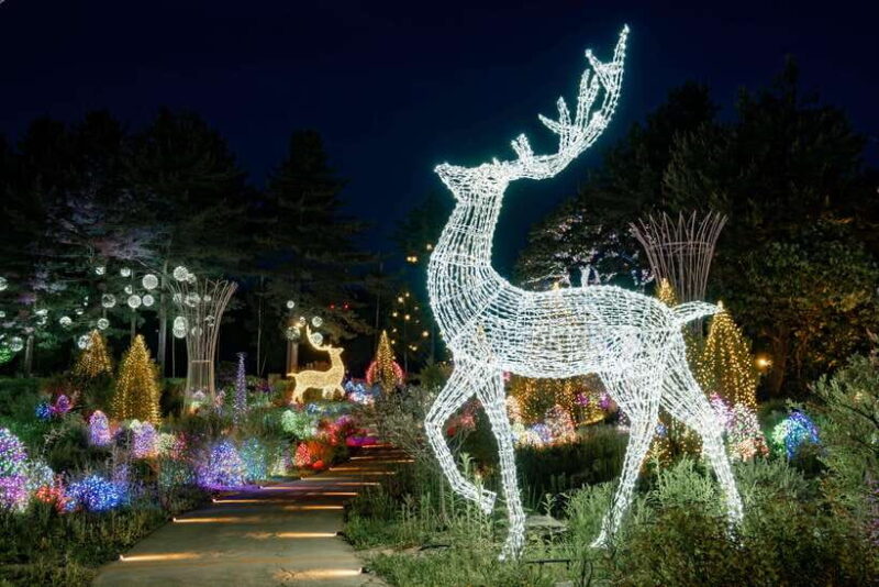 Seoul: Nami Island & Alpaca World & Railbike (+Healing Park) - FAQs