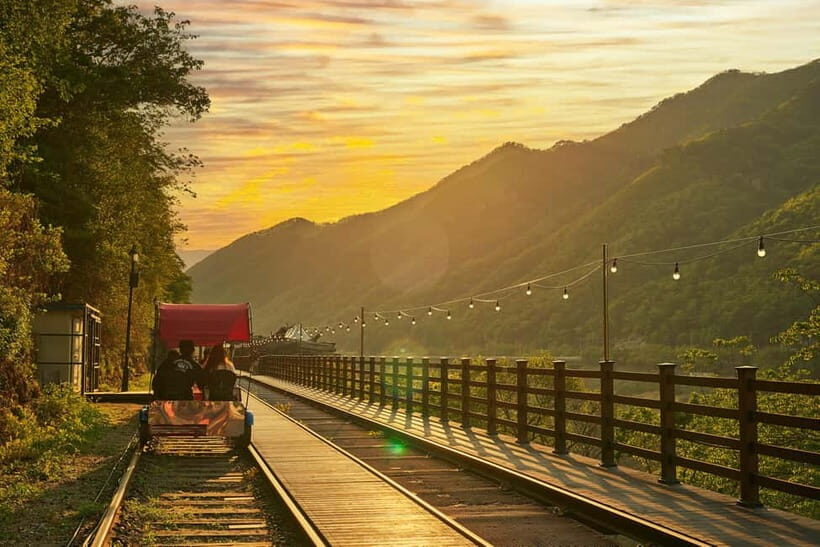 Seoul: Nami Island and Garden of Morning Calm (opt Railbike) - The Itinerary: What You Can Expect