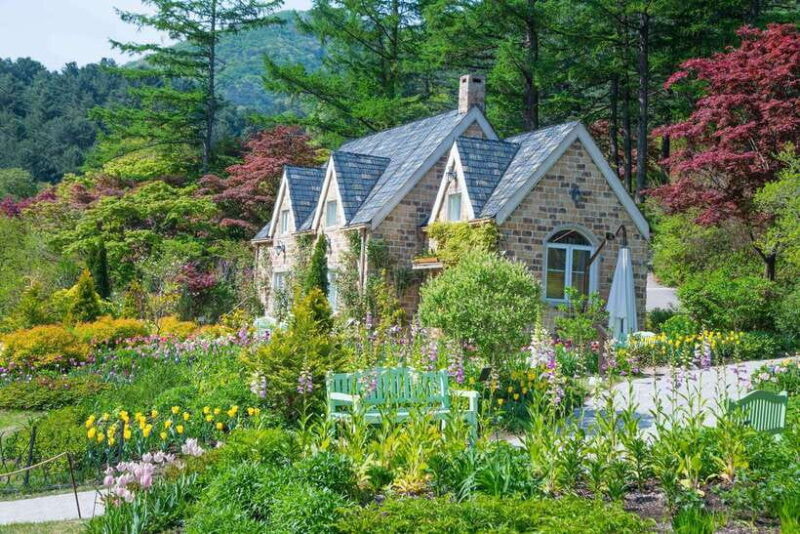 Seoul: Nami Island and Garden of Morning Calm (+Railbike) - An Overview of the Experience