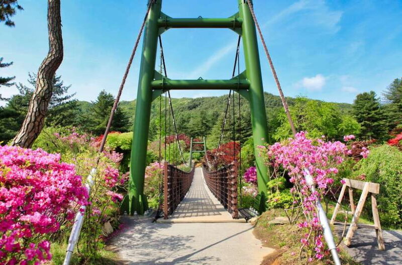 Seoul: Nami Island and Garden of Morning Calm (+Railbike) - FAQ