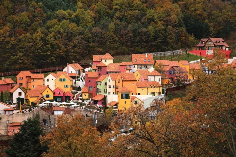 Seoul: Nami Island, Garden and Petite France (opt Railbike) - Key Points