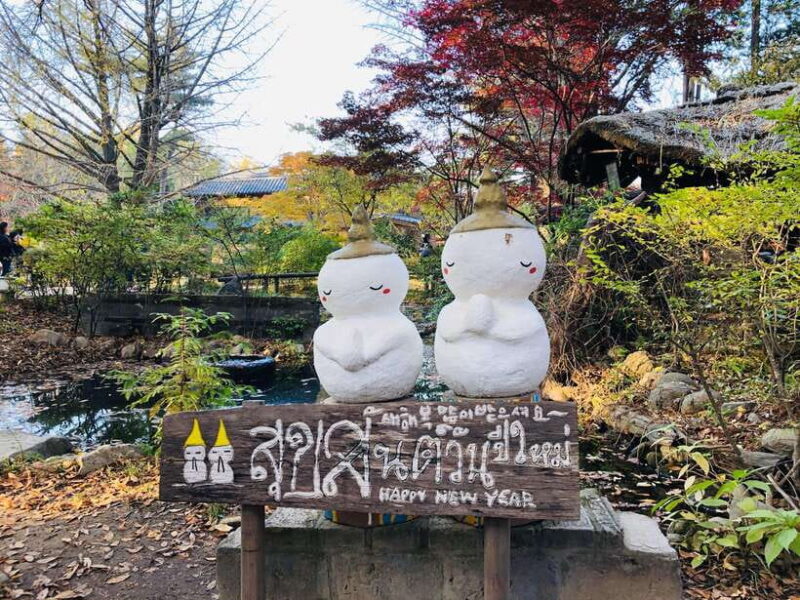 Seoul: Nami Island/Garden of Morning Calm Tour (+Rail Bike) - Key Points