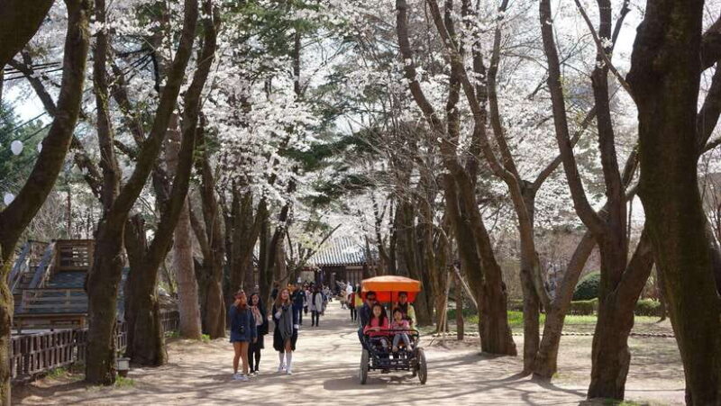 Seoul: Nami Island/Garden of Morning Calm Tour (+Rail Bike) - Authentic Experiences and Traveler Insights