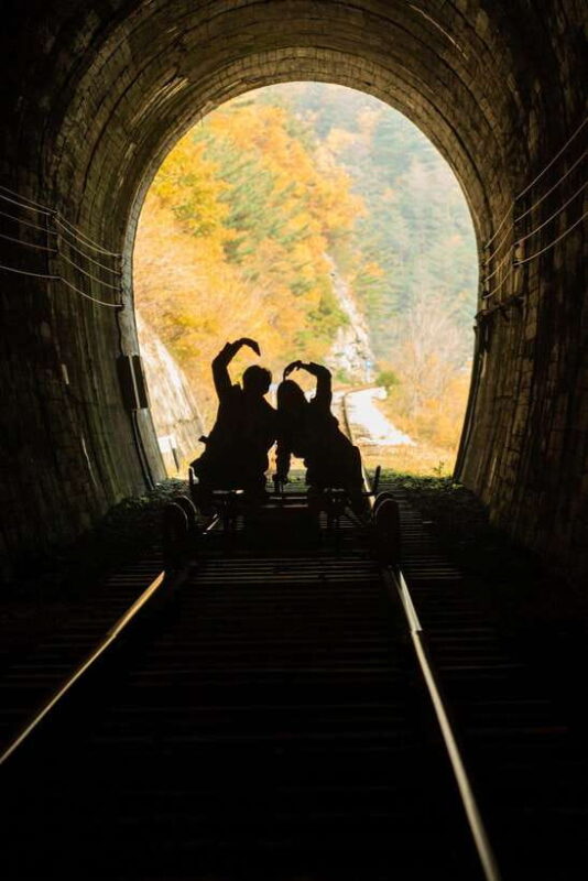 Seoul: Nami Island, Petite France, Morning Calm, Railbike - Authentic Experiences and Traveler Feedback