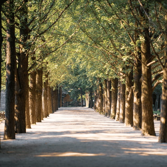 Seoul: Nami Island, Petite France, Morning Calm, Railbike - Who Will Love This Tour?
