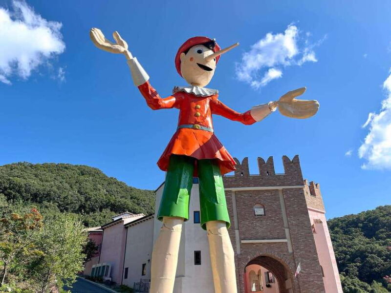 Seoul: Nami Island & Petite France Tour with Railbike Option - FAQ