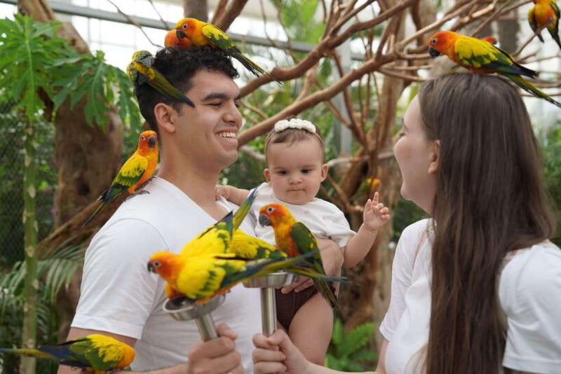 Seoul: Nami Island & Railbike & Begonia Bird Park Day Tour - Key Points