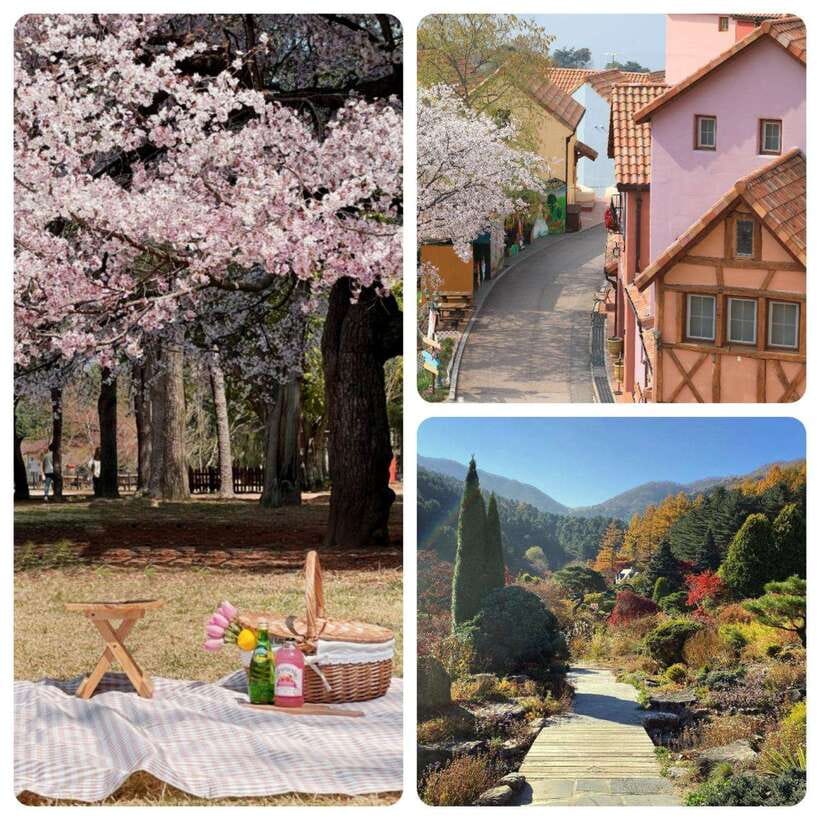 Seoul: Nami, Petite France, Morning Garden (+Healing Park) - The Itinerary: A Closer Look