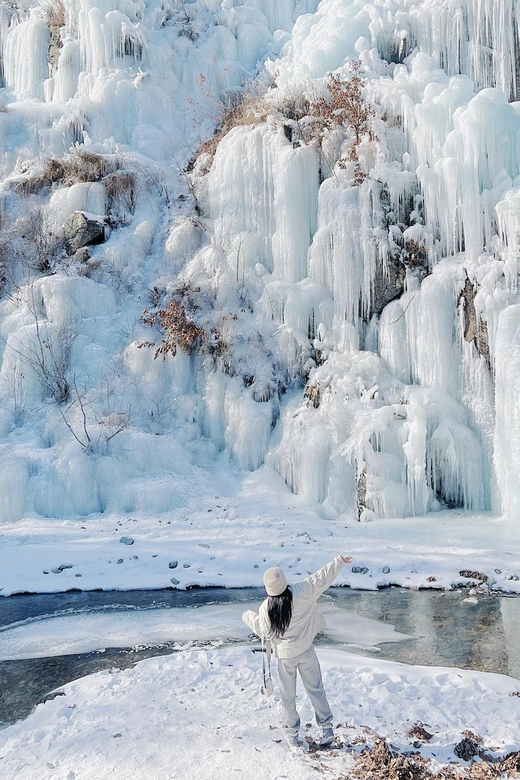 Seoul: Nami, Petite France, Morning Garden (+Healing Park) - Authentic Experiences and What You’ll Remember