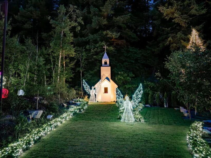 Seoul: Nami, Petite France, Morning Garden (+Healing Park) - The Sum Up: Who Should Consider This Tour?