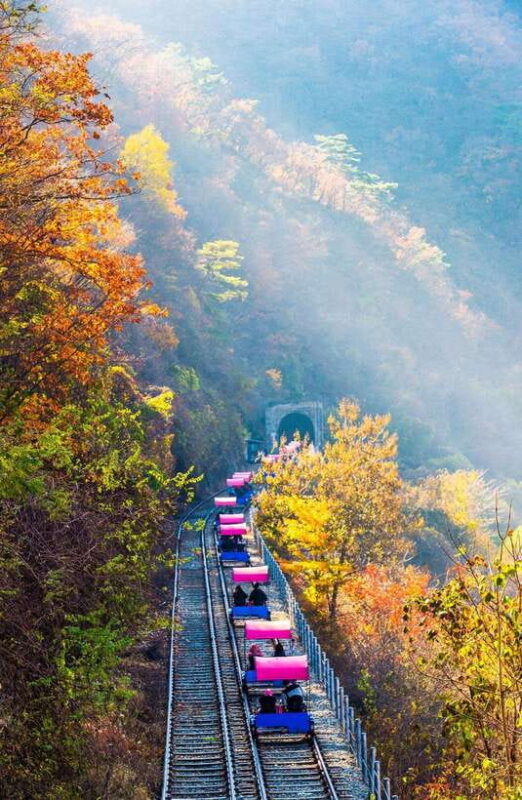 Seoul: Nami, Rail Bike, Morning Garden (+Healing Park) - Key Points