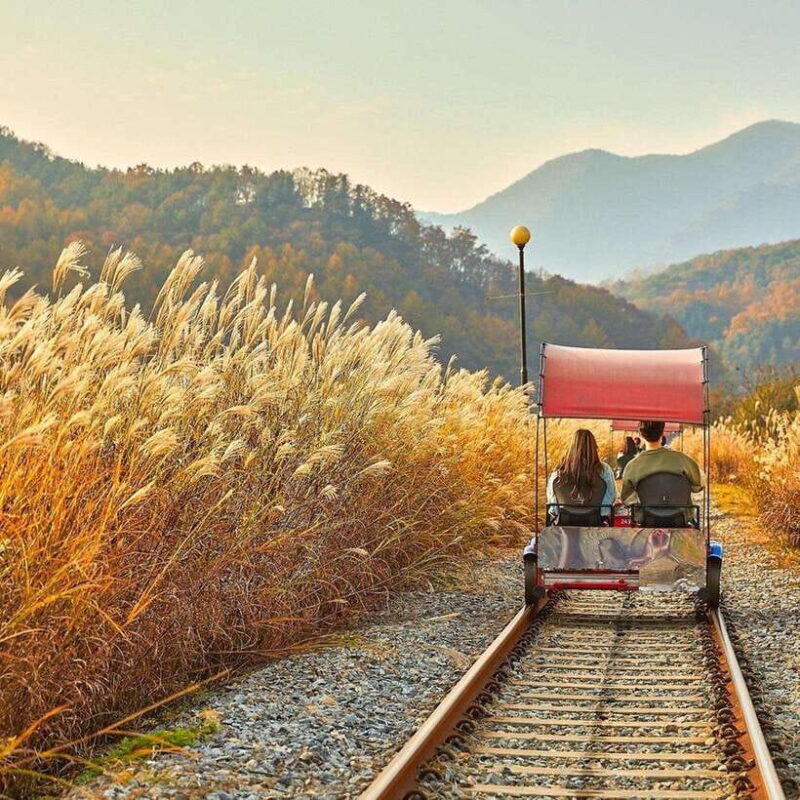 Seoul: Nami, Rail Bike, Morning Garden (+Healing Park) - The Value of This Tour