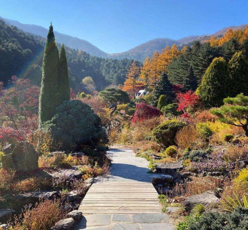 Seoul: Nami, Rail Bike, Morning Garden (+Healing Park) - Frequently Asked Questions