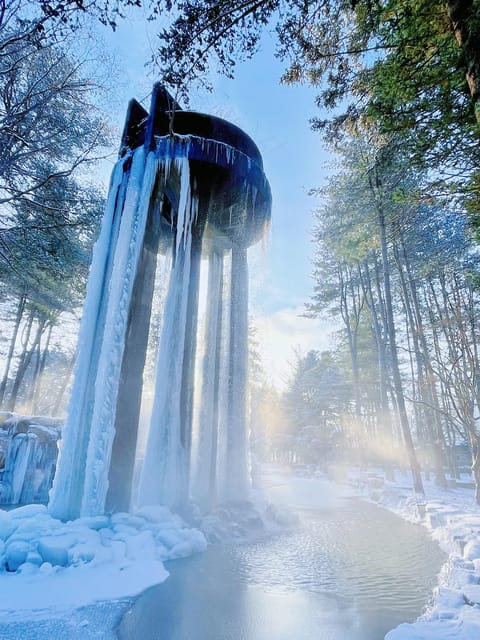 Seoul: Nami, Rail Bike, Morning Garden (+Healing Park) - Final Thoughts