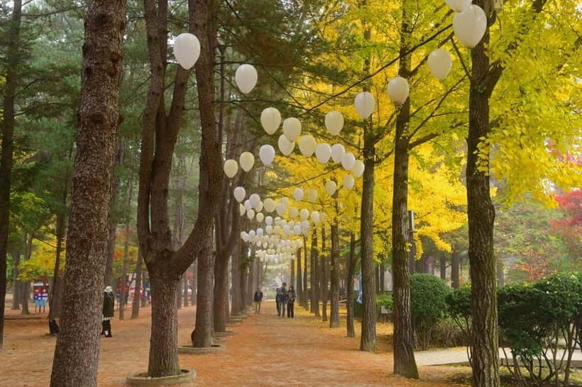 Seoul: Nami+Hanbok+Waterfall(+RailBike or Strawberry)Tour - A Close Look at the Tour Itinerary and Experience